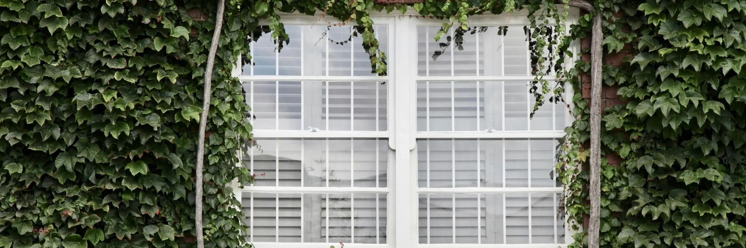 The Best Climates for Shutters: Enhancing Comfort and Efficiency - Your ...